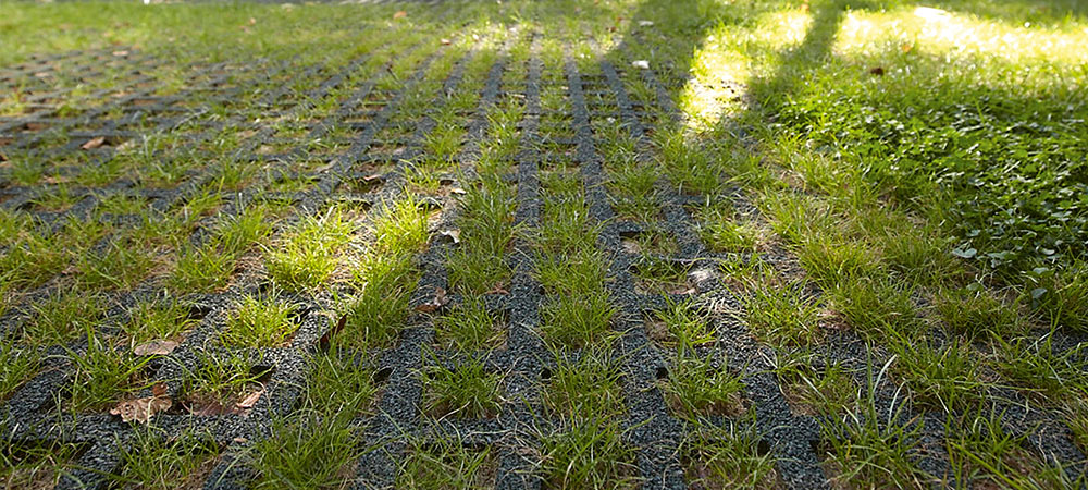 65er Rasengitter EPDM | Terrasoft Bodensysteme | Conradi+Kaiser GmbH